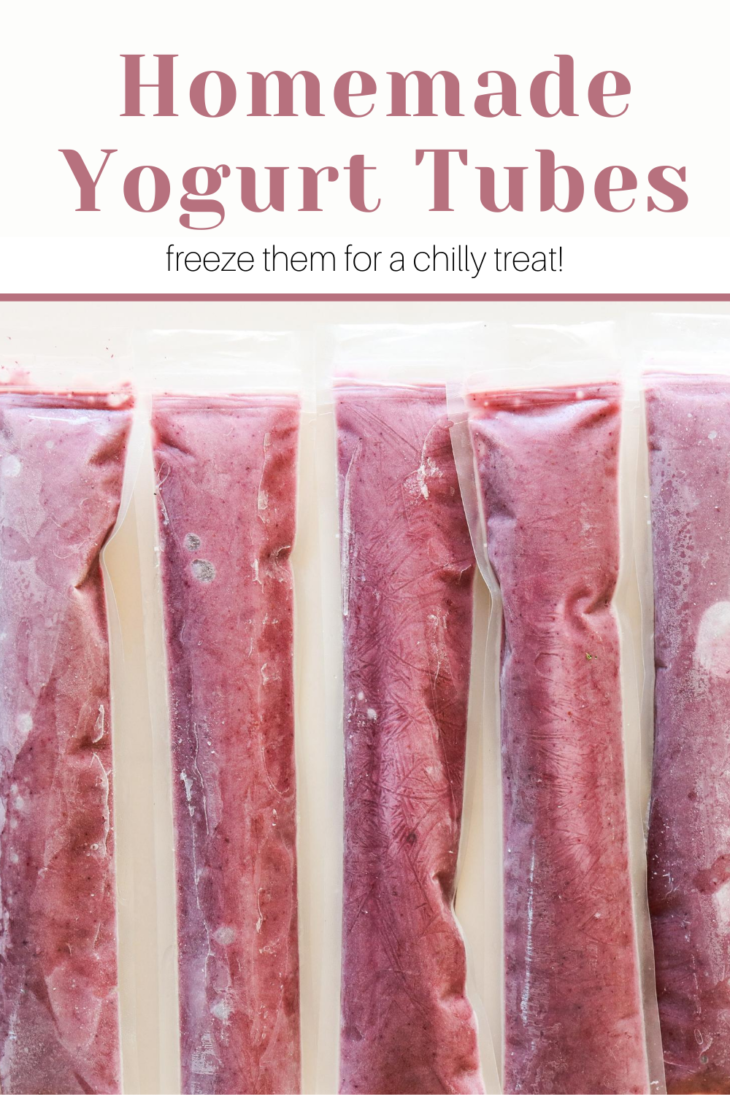 Homemade Yogurt Tubes - The Toasted Pine Nut