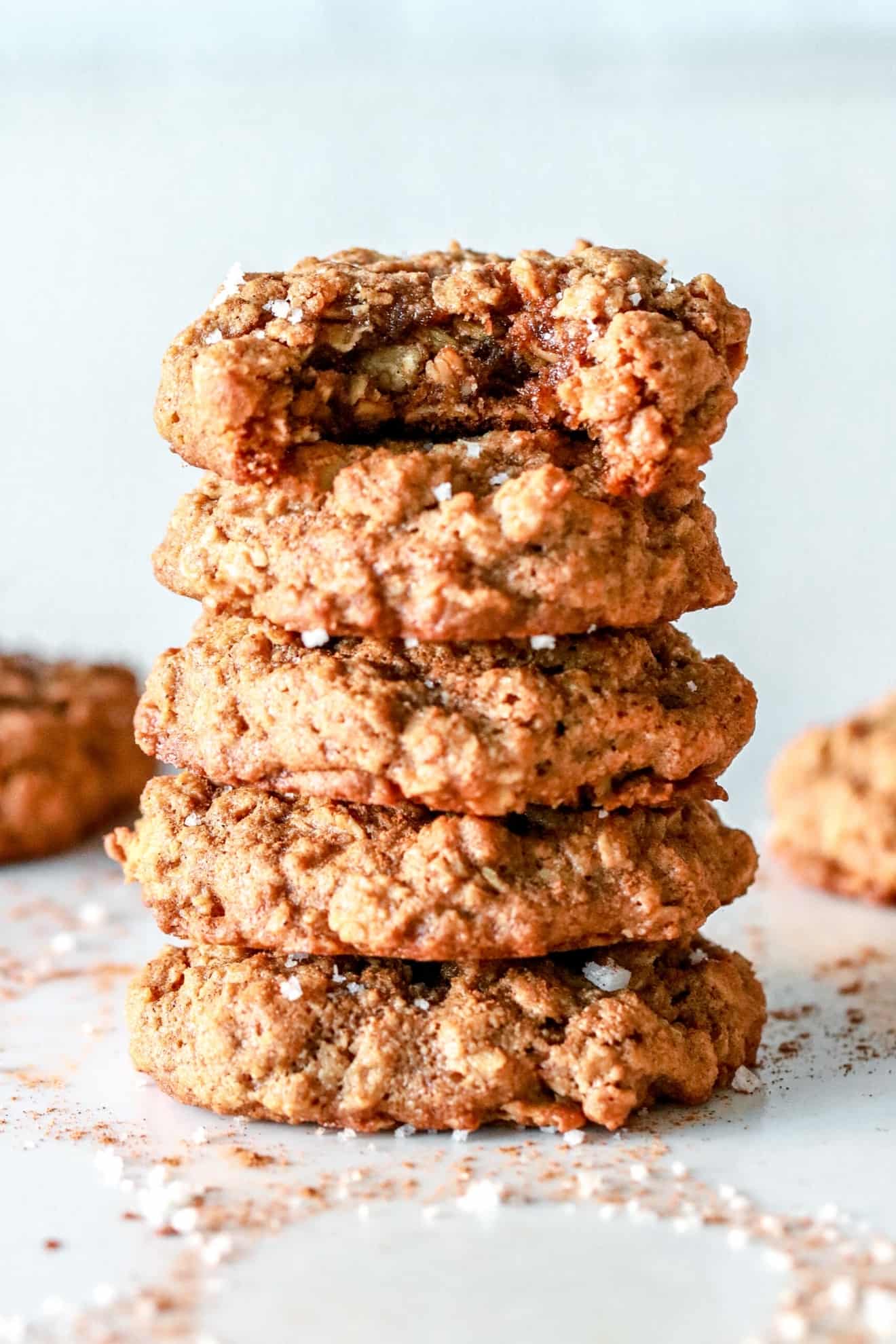 Gluten Free Gingerbread Oatmeal Cookies - The Toasted Pine Nut
