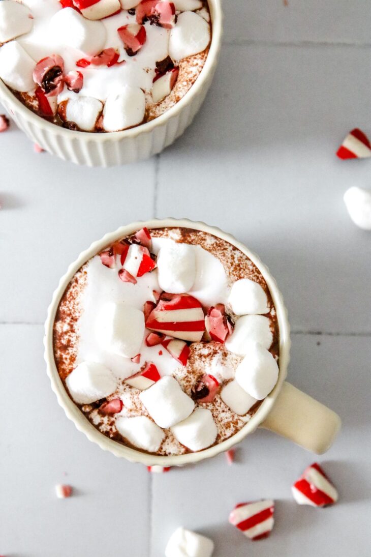 Candy Cane Peppermint Hot Chocolate in 10 minutes - The Toasted Pine Nut